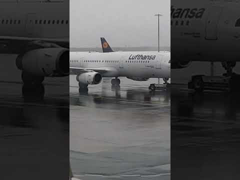 Flight Movements at Frankfurt Airport Germany | #flight #frankfurtairport #germany
