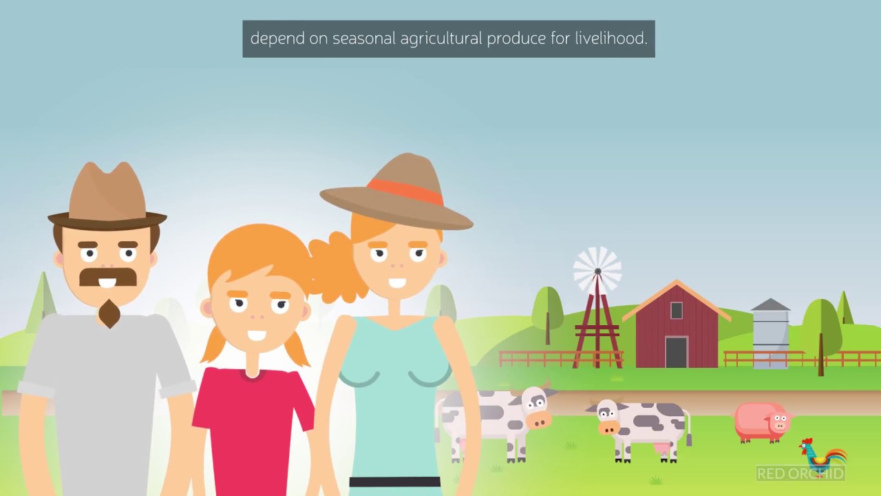 Sentinel Chain ICO - The World’s First Global Marketplace for Financial Inclusion Services