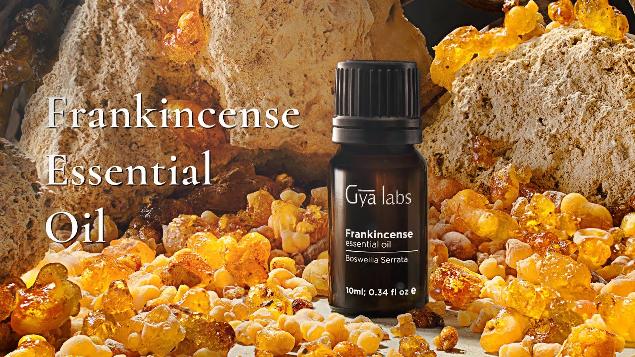 Frankincense Essential Oil: Benefits | Essential Oil Benefits | Gya Labs