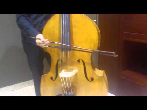 Contrabajo | Los instrumentos musicales