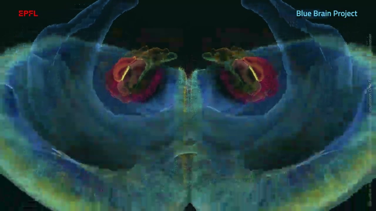 Blue Brain Project -  Digitally Reconstructing and Simulating the Brain