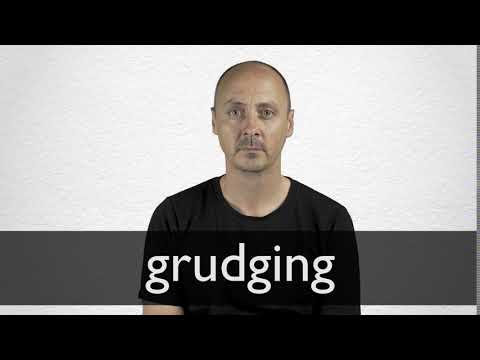 GRUDGING definition and meaning | Collins English Dictionary