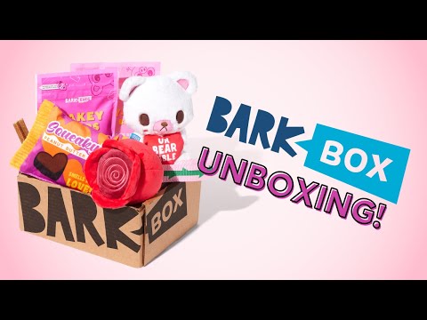 Unboxing BARKBOX's February 2023 Box! (Valentine's Day Theme)