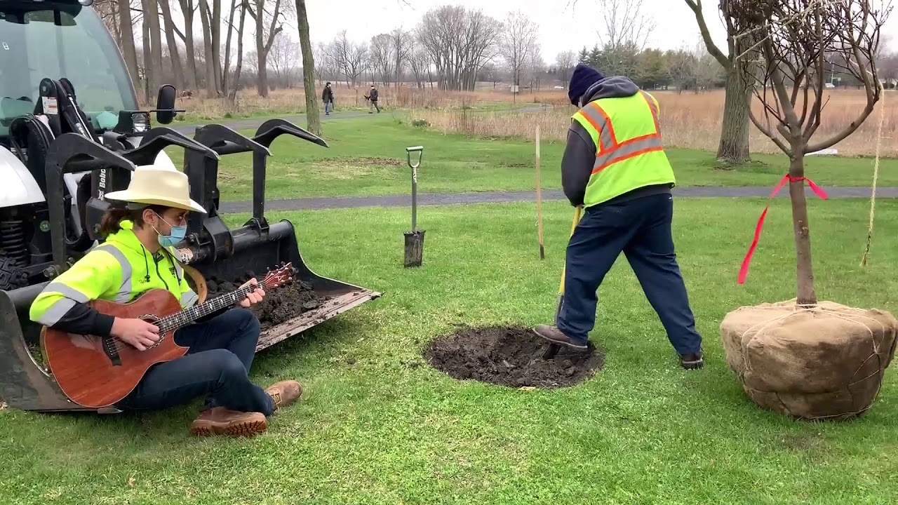 Village of Buffalo Grove Public Works Forestry Services Arbor Day 2020