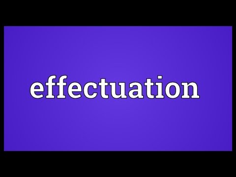 Effectuation Meaning