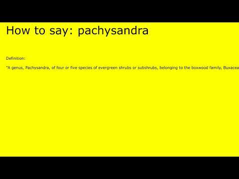 How to pronounce pachysandra by british speaker