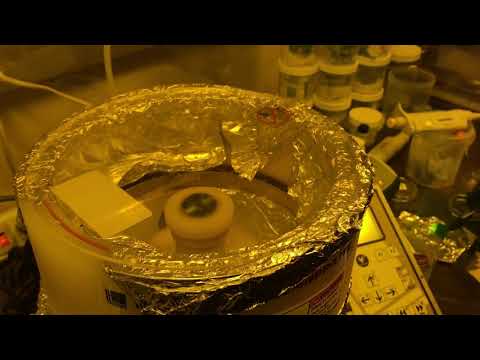 Perovskite Applications in Photodetectors