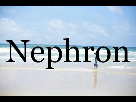 How To Pronounce Nephron🌈🌈🌈🌈🌈🌈Pronunciation Of Nephron