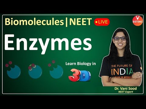 Biomolecules - Enzymes - CBSE Class 11 Biology Chapter 9 - NEET 2020 ...