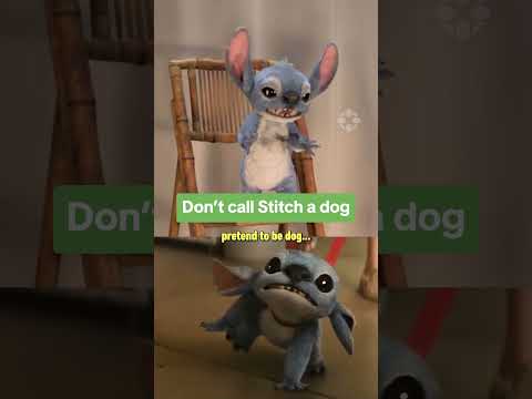 PSA: Stitch is not a dog. #liloandstitch #stitch #alien #koala #dog #disney #ign #movie #interview