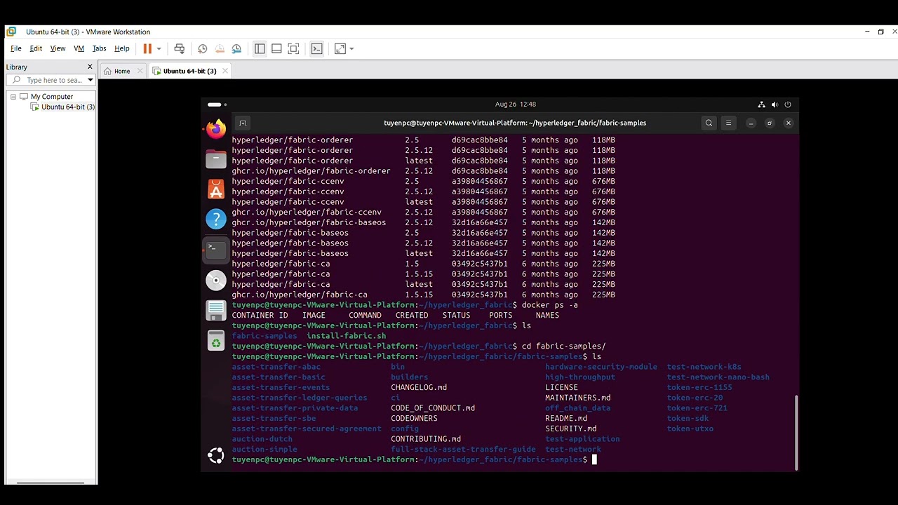 Hyperledger Fabric Tutorial: Using Test Network & Deploying Sample Chaincode