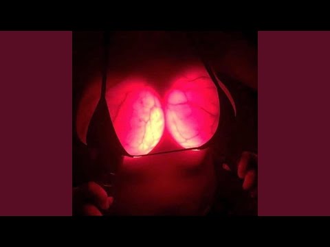 Litty Like A Titty