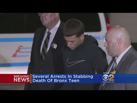 Now 8 People In Custody For Murder Of 15-Year Old Lesandro ‘Junior ...