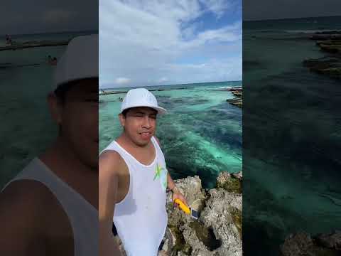 Tulum 🌴 Caleta Tankah | Playa y Cenote en el Mismo Lugar 🤩🤿