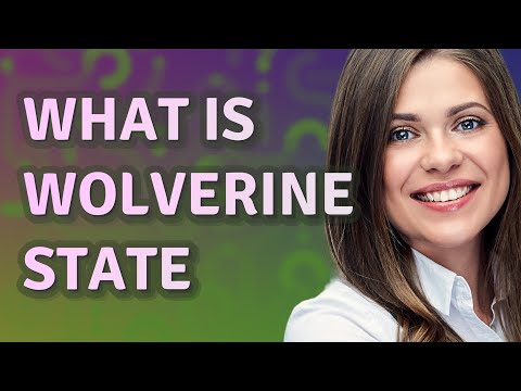 Wolverine state | meaning of Wolverine state