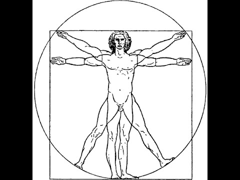 Drawing Vitruvian Man da Vinci #1