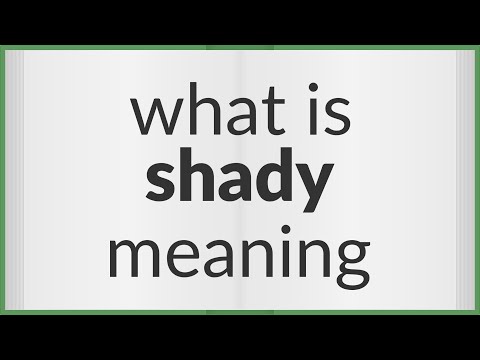 Shady | meaning of Shady
