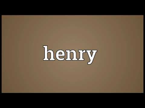 henry meaning in English