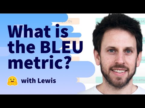 What is the BLEU metric?