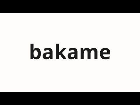 How to pronounce bakame | 馬鹿め (Idiot in Japanese)