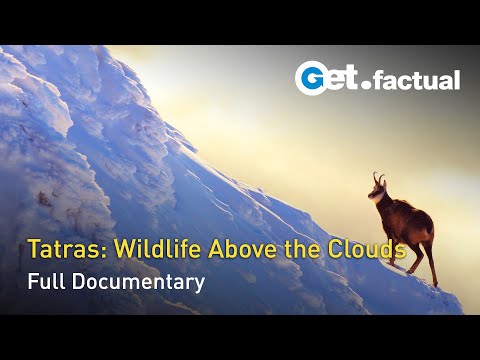 The Tatra Mountains - Life on the Edge | Full Documentary Episode 2