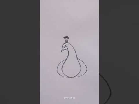peacock drawing easy @Kids Drawing Talent
