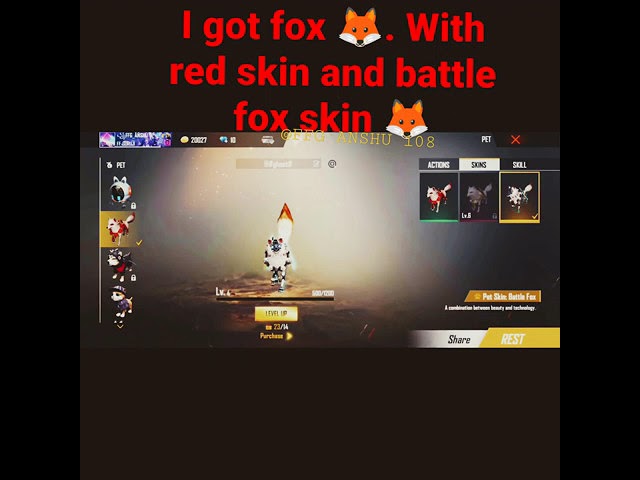 5 best Free Fire pet skins of all time (rare and legendary skins included)