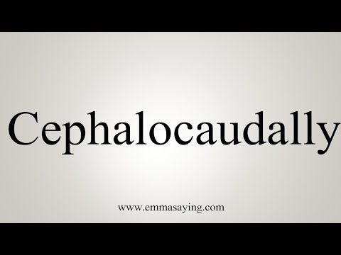 How To Say Cephalocaudally
