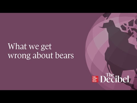 What we get wrong about bears - #podcast