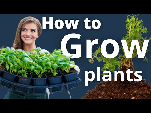 Plant Propagation Methods to produce and sell plants for profit