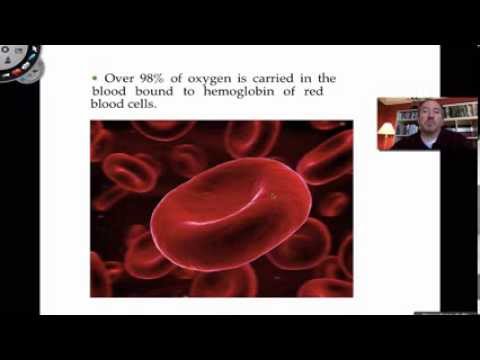 Gas Exchange and Transport