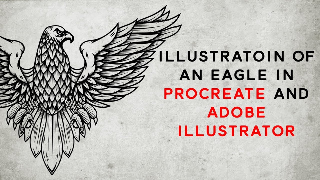 Illustration of an eagle in Procreate and Adobe Illustrator | Speed art