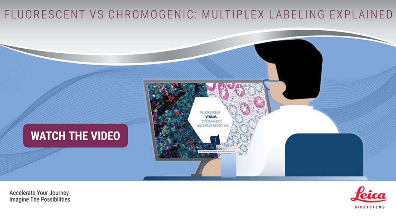 Fluorescent vs Chromogenic: Multiplex Labeling Explained