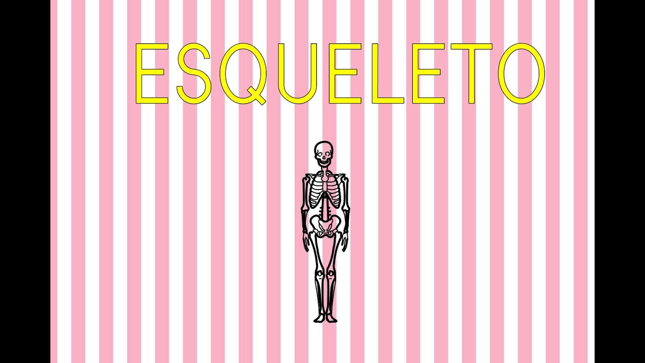 El esqueleto humano explicado con pictogramas de ARASAAC