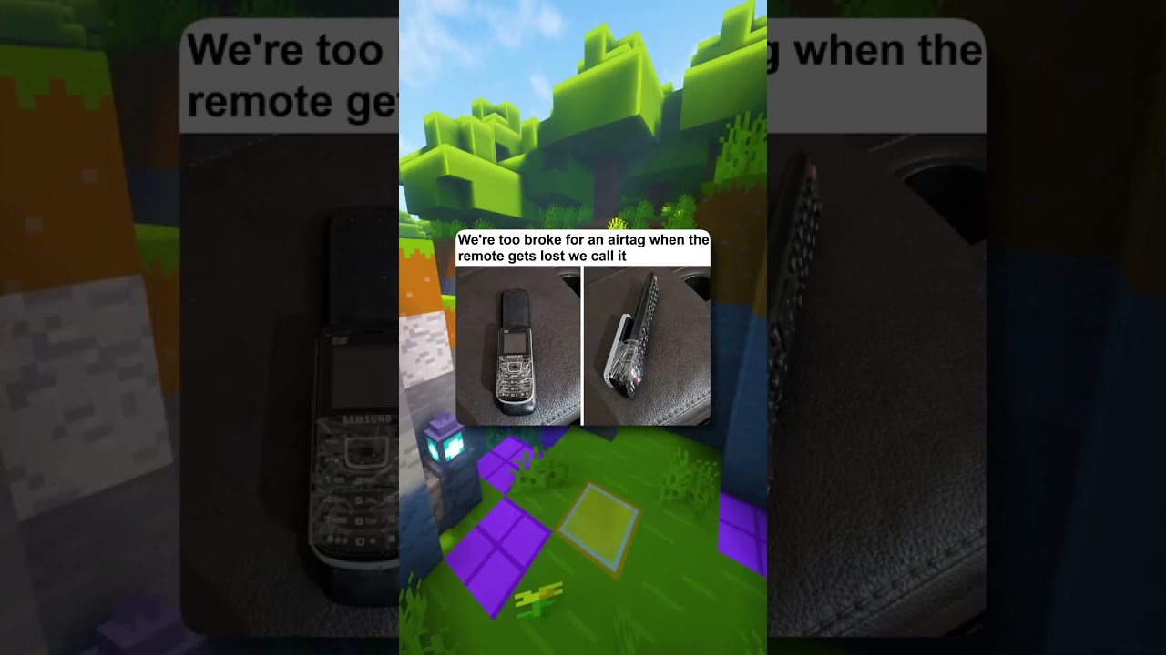 That's Not a Remote! 😂