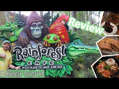 Full Review of The Rainforest Cafe at Disney's Animal Kingdom | In Our Professional Opinion