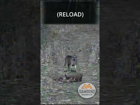 Front Deer Back Deer