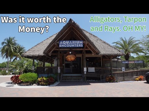 Aquarium Encounters, Florida Keys, Is it worth the money?