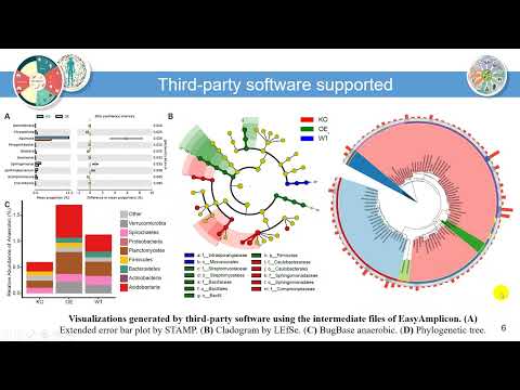 iMeta | EasyAmplicon: An easy-to-use pipeline for amplicon data analysis in microbiome research