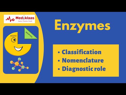 Enzymes: The biological catalysts of life | Biomolecules | classification of enzymes | Biochemistry