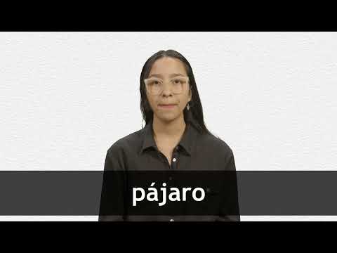 How to pronounce PÁJARO in Latin American Spanish