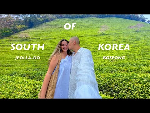 JEOLLA-DO South Korea | Green Tea Fields, Hanok Stay and Movie Sets in the South of South Korea