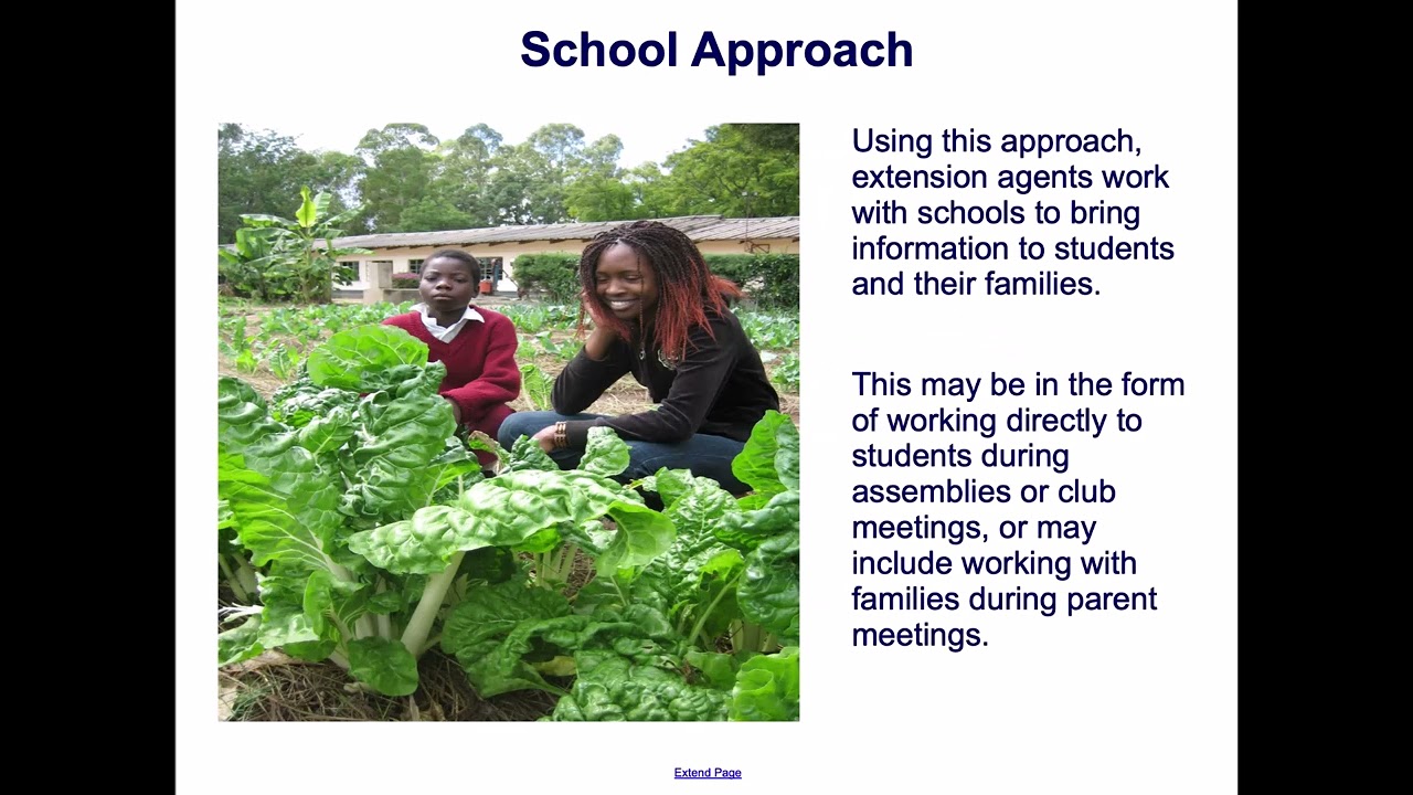 Types of Agriculture Extension Programs