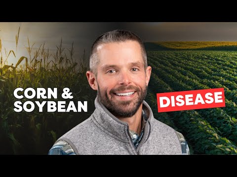 Dr. Damon Smith: Tar Spot & White Mold in Crops
