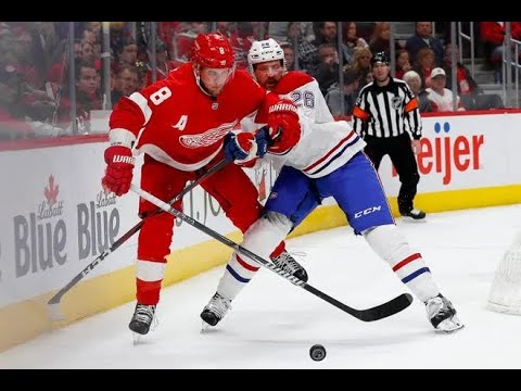 What does the Petry Trade mean for the Red Wings Defense?