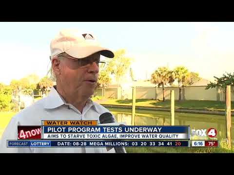 Algae eating bacteria tested in Cape Coral