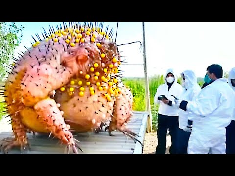 20 Deadliest Insects Ever Found By Scientists
