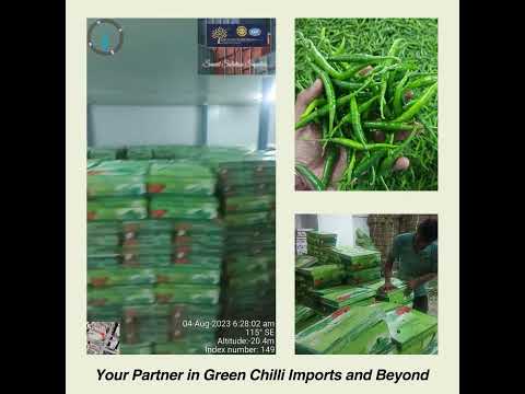 Green Chilli - Wholesale Price & Mandi Rate for Chilli Green
