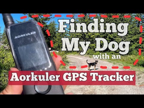 Review: How Does the Aorkuler GPS Dog Tracker Work?
