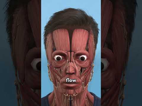 How To Cry On Command π